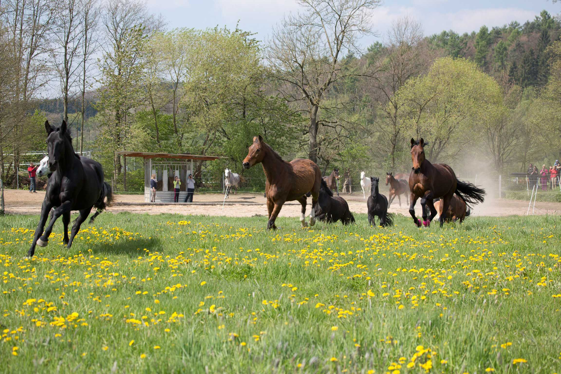Active Stabling That Improves Welfare, Cuts Costs, and Saves Time