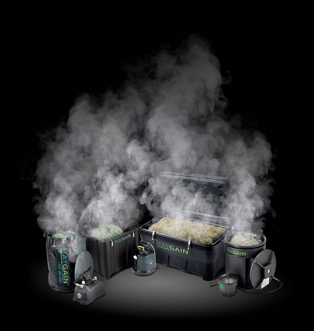 Should I soak or steam hay for horses? | Jelka