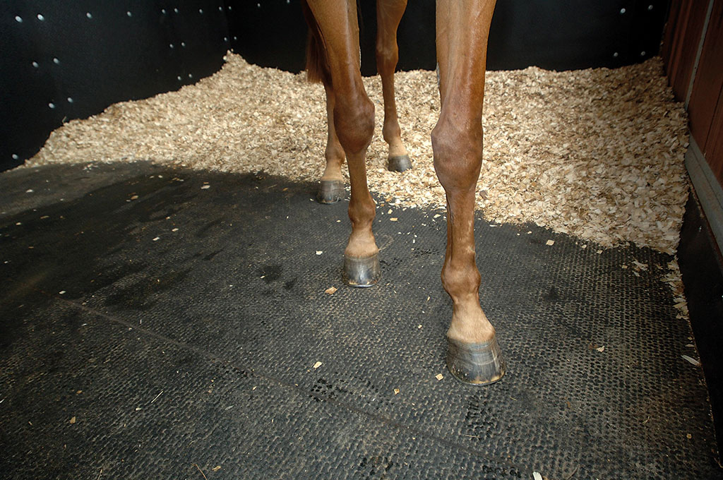 Rubber Flooring for Horses | Jelka